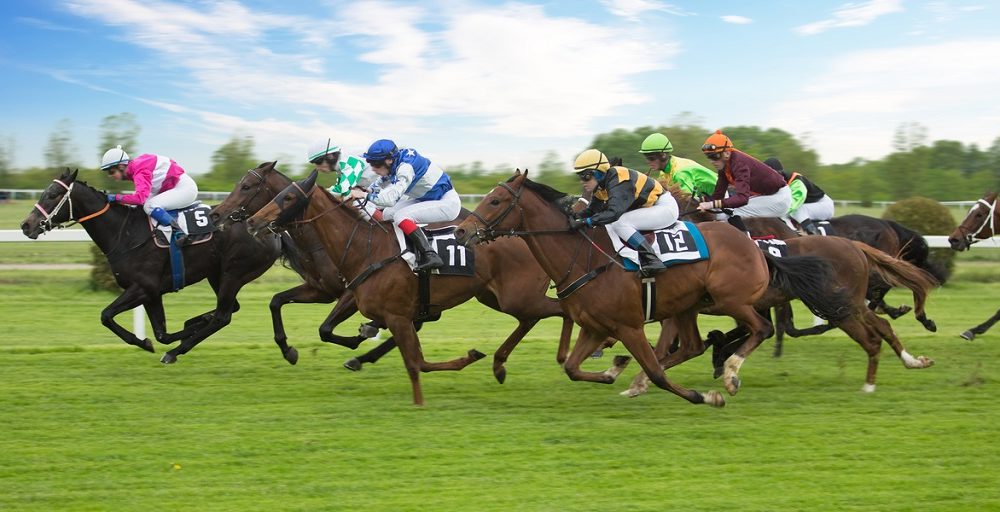 12/09/2021 - Neil Morrice's tips for the Curragh and more