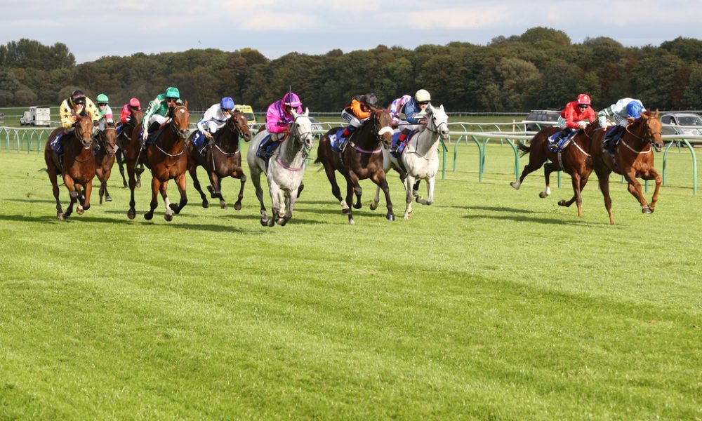 21/09/2021 - Tuesday's racing tips by Neil Morrice