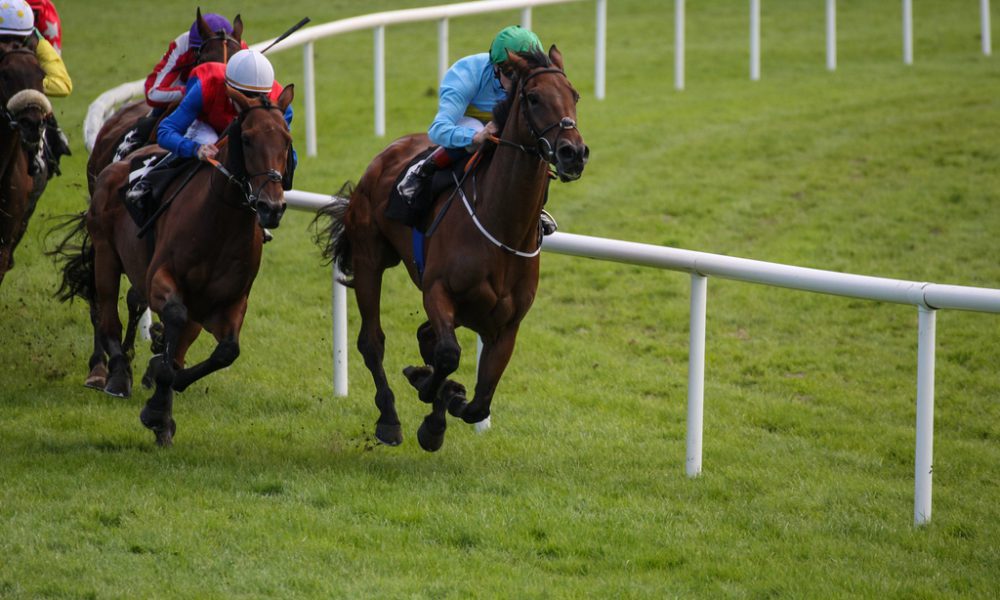 24/09/2021 - Neil Morrice's tips for all of Friday's racing