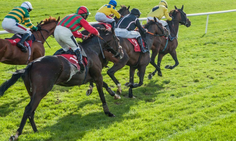 29/10/2021 - Friday's Racing Tips by Neil Morrice