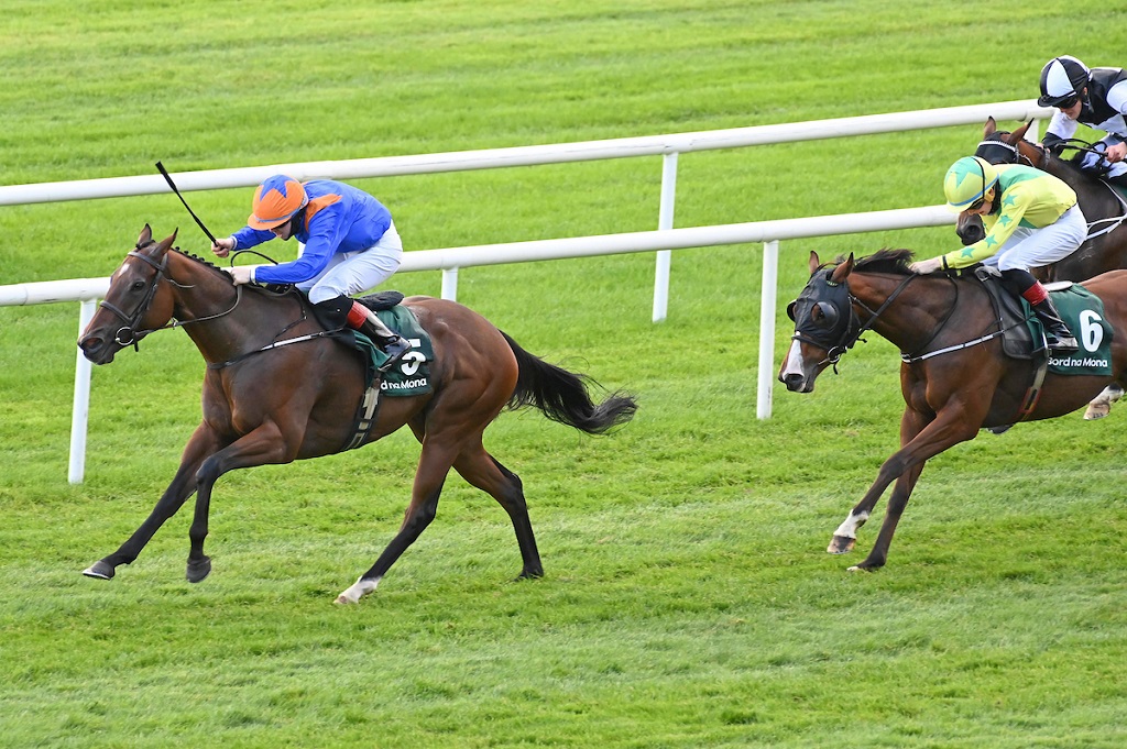 14/10/2021 - Thursday's Racing tips by Neil Morrice