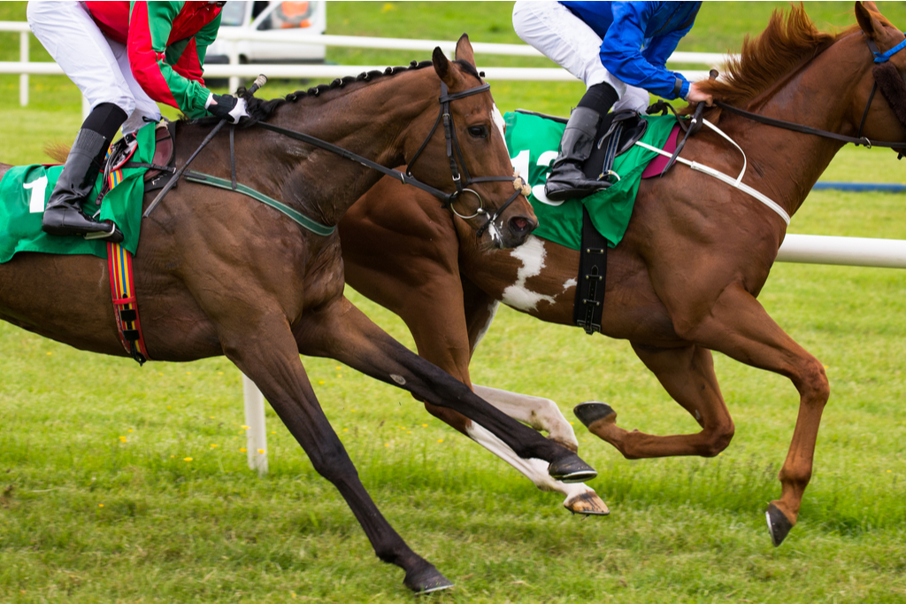 31/12/2021 - Friday's Racing Tips by Neil Morrice