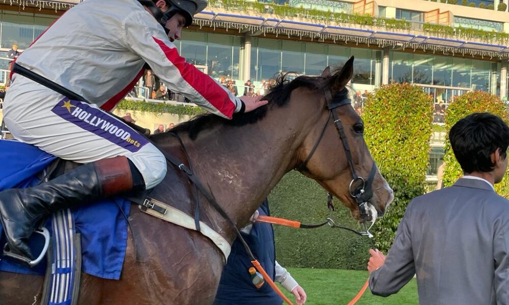 Jamie Moore’s Diary: AUTHORISED SPEED impresses Moore amid a farewell ...