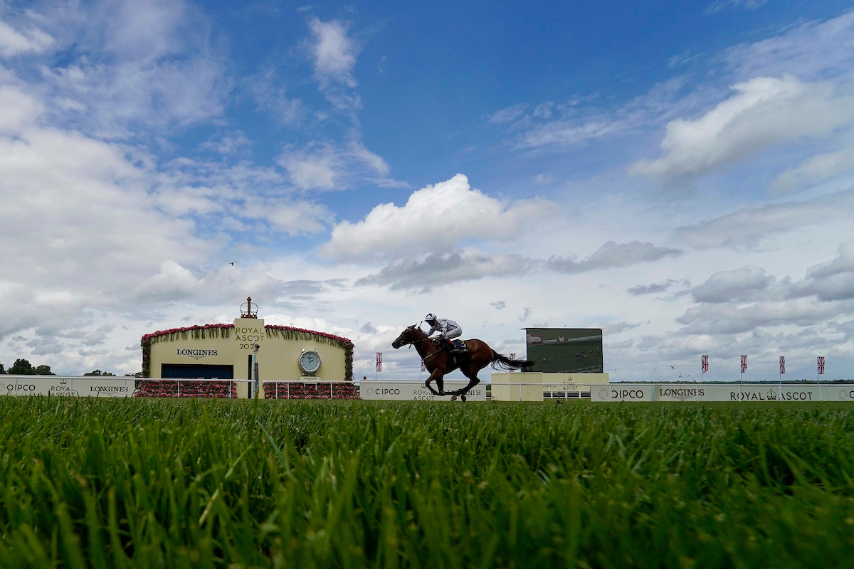 Neil Morrice best bets and tips – Royal Ascot – Day 3 - Hollywoodbets ...