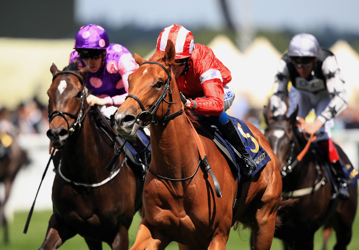 Neil Morrice best bets and tips – Royal Ascot 2023 – Day 1 ...