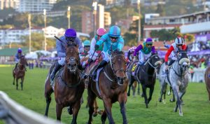 South Africa Racing - How to Read the Winning Form Racecard ...