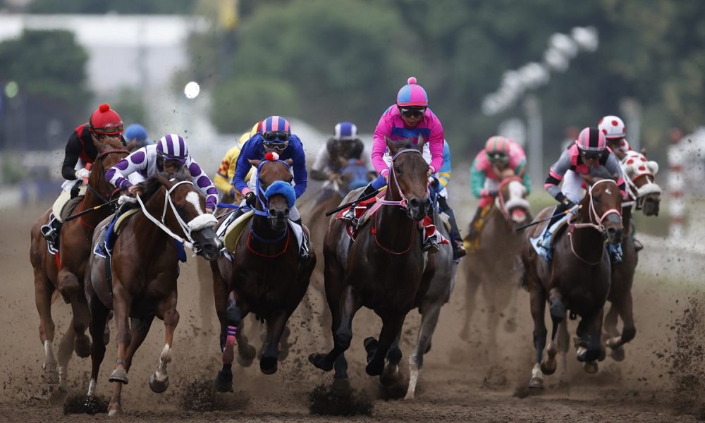 South Africa Racing - How to Read the Winning Form Racecard ...