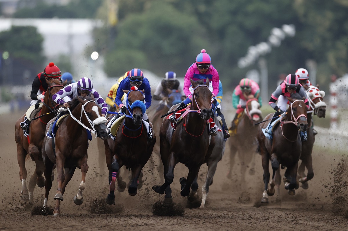 Neil Morrice Doncaster St Leger Festival Day 3 – 13 September 2025 ...
